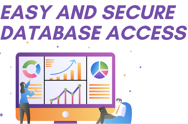 Easy and Secure Database Access | Border0